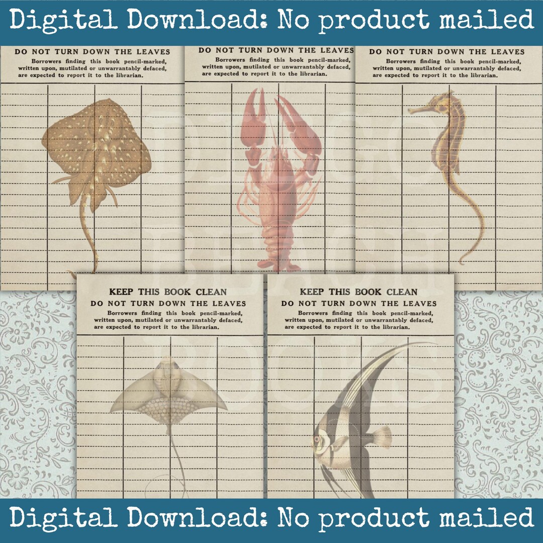 Vintage Sea Creatures Library Card Set Ocean Ephemera Nautical ...