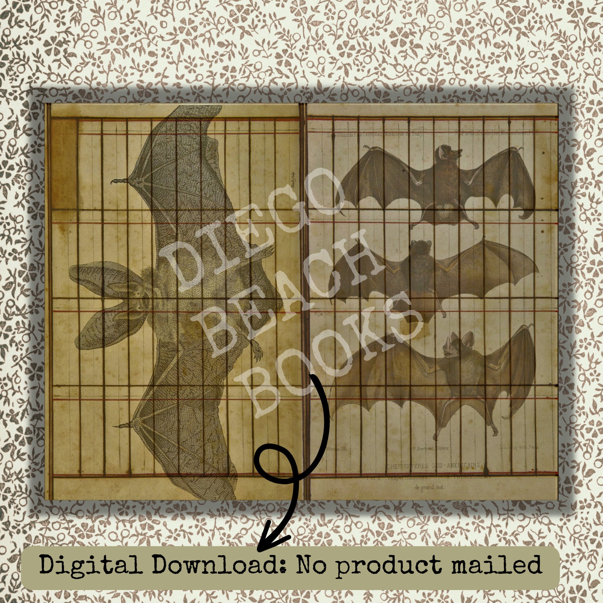 Five Piece Bat Printable Scrapbook Pages Ultra Grungy Vintage Junk ...