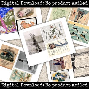 The Charlotte Collection Beach Girl Vintage Ephemera Kit - Etsy