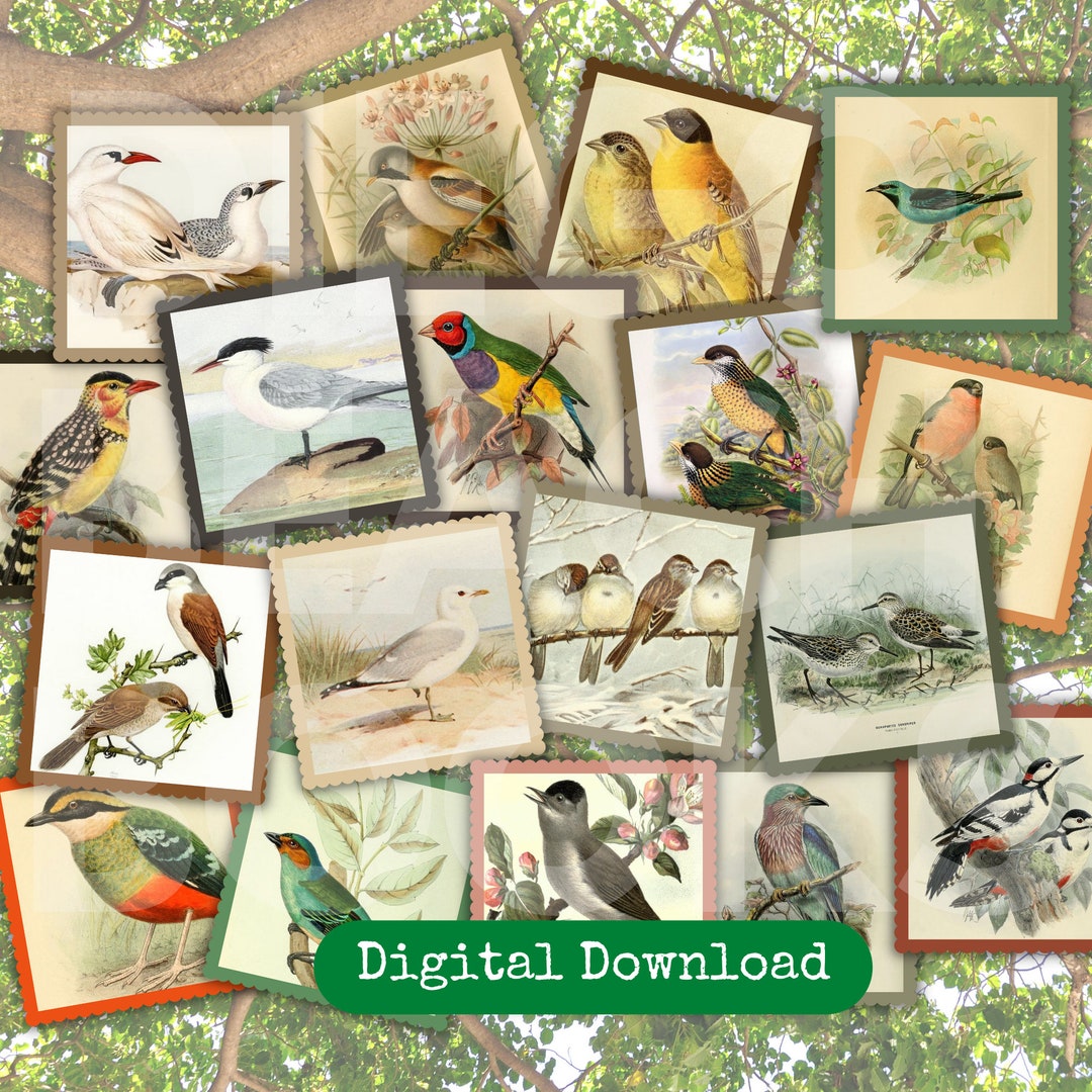 18 Piece Beautiful Birds Postage Stamp Inspired Journaling Cards ...