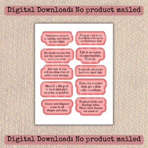 Flamingo Quotes Word Bubbles Printable Flamingo Scrapbook Ephemera Junk ...