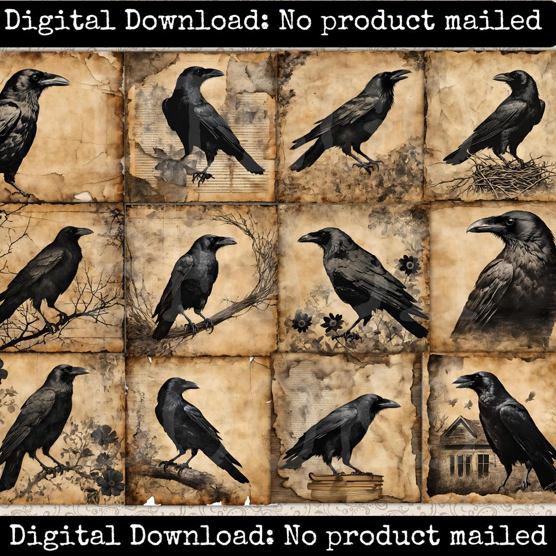 Grungy Crow Image Pack Scrapbook Cards Junk Journal Ephemera Dark ...