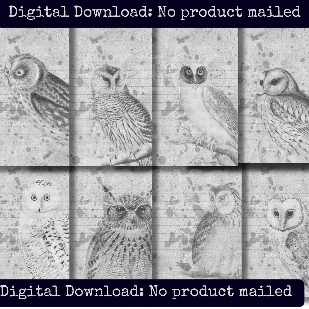 Grungy Owl Lined Printable Paper Set Vintage Owl Stationery Junk ...