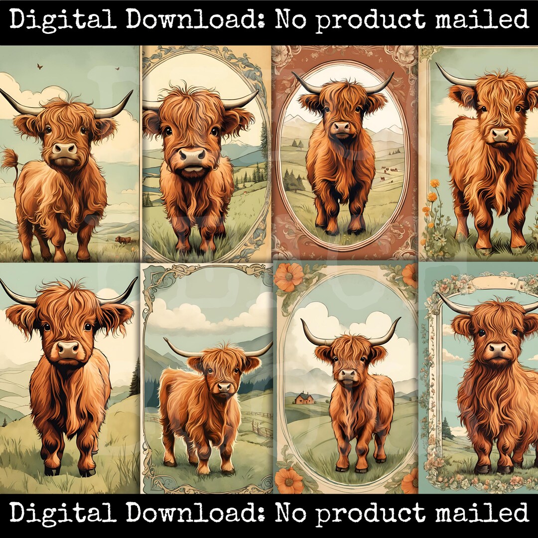 Highland Cow Baby Printable Cards Journal Kit Ephemera Scrapbook ...