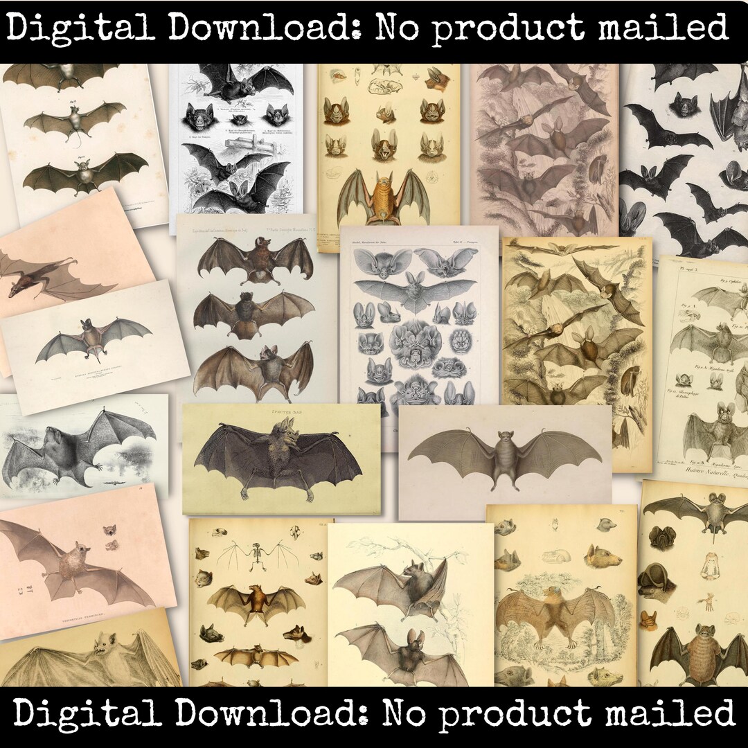 Vintage Bat Ephemera 20‑piece Digital Pack Junk Journal Bat Printables ...