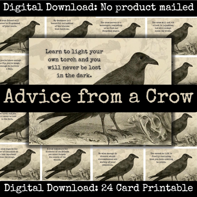 Crow With Saying - Etsy