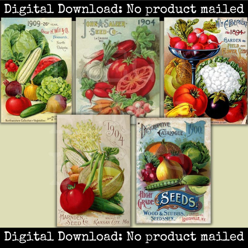 Seeds Catalog Card Packet - Etsy