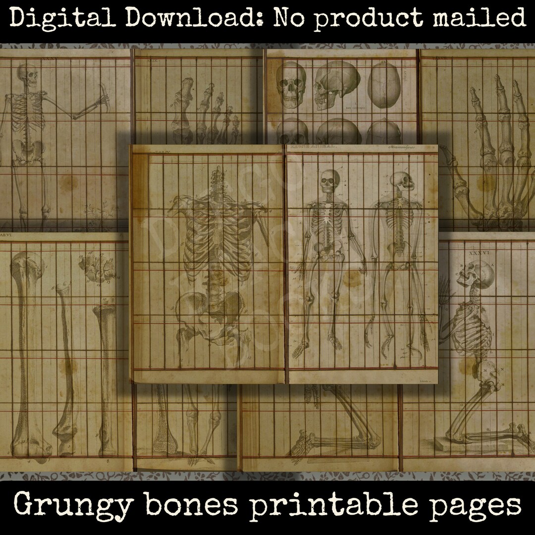 Old Bones Printable Vintage Gothic Junk Journal Pages Dark Academia ...
