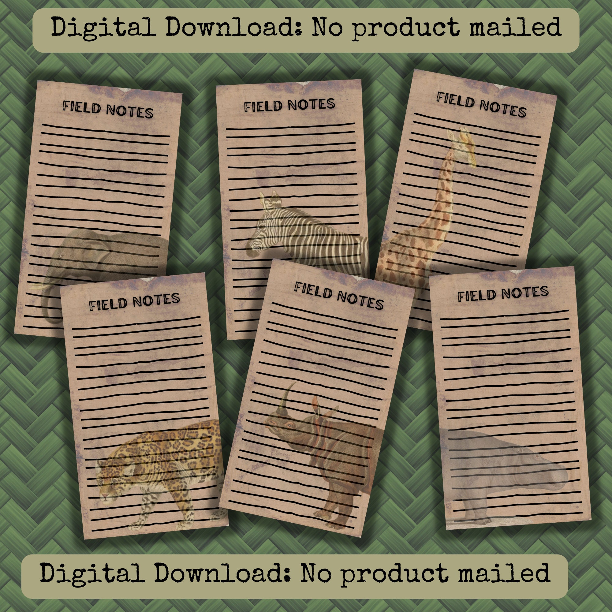 Safari Animal Field Notes Printable Set, Safari Ephemera, Safari Junk ...