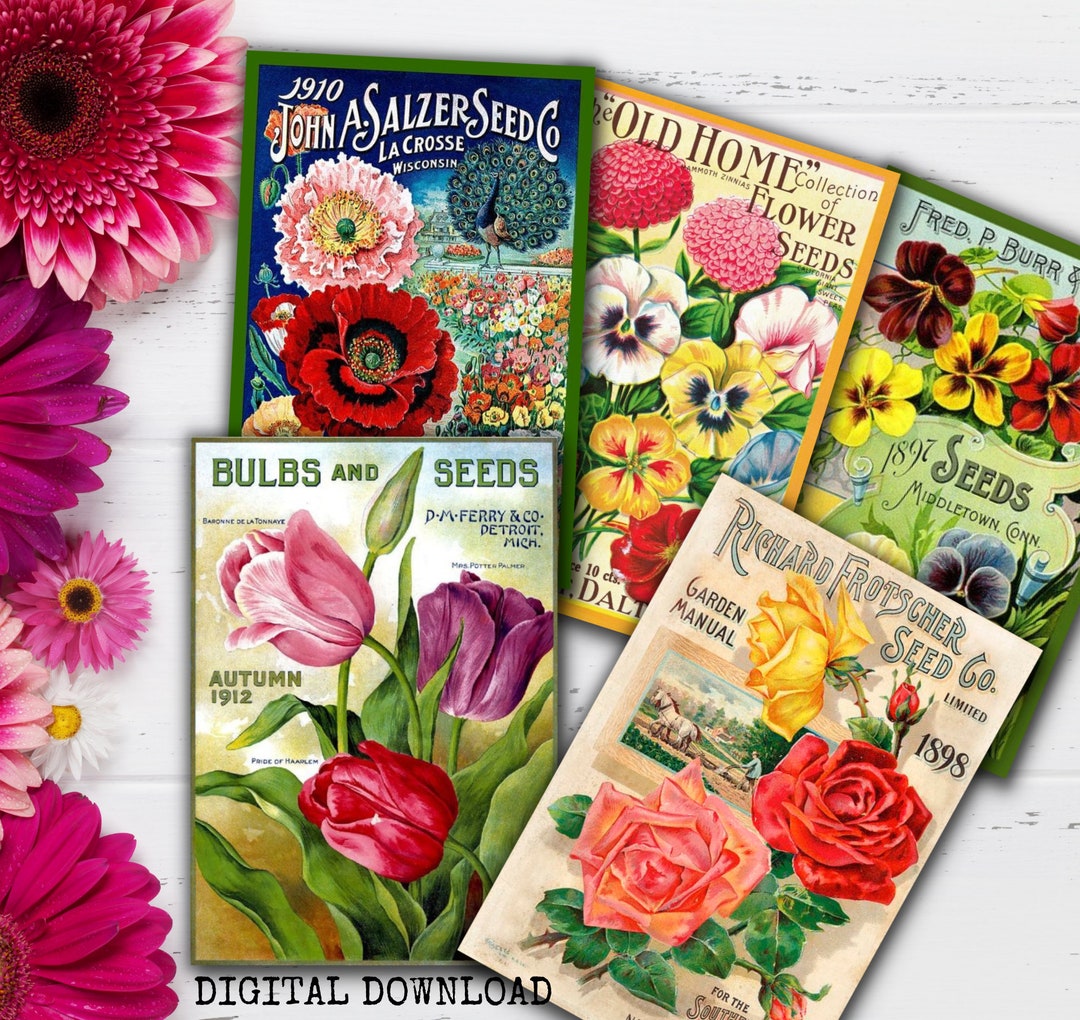 Flower Seed Packets Printable Flower Scrapbook Cards Garden Ephemera ...