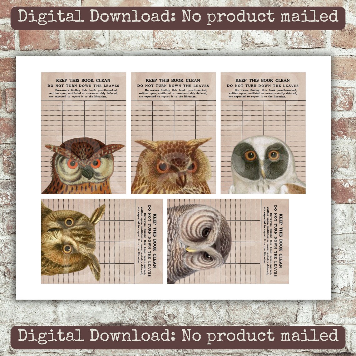 Vintage Owl Head Library Card Printable Owl Ephemera Owl Junk Journal ...