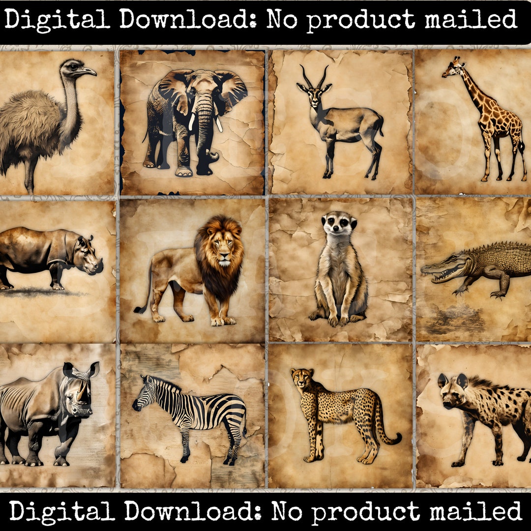 Safari Animal Junk Journal Cards Grungy Vintage Safari Ephemera ...