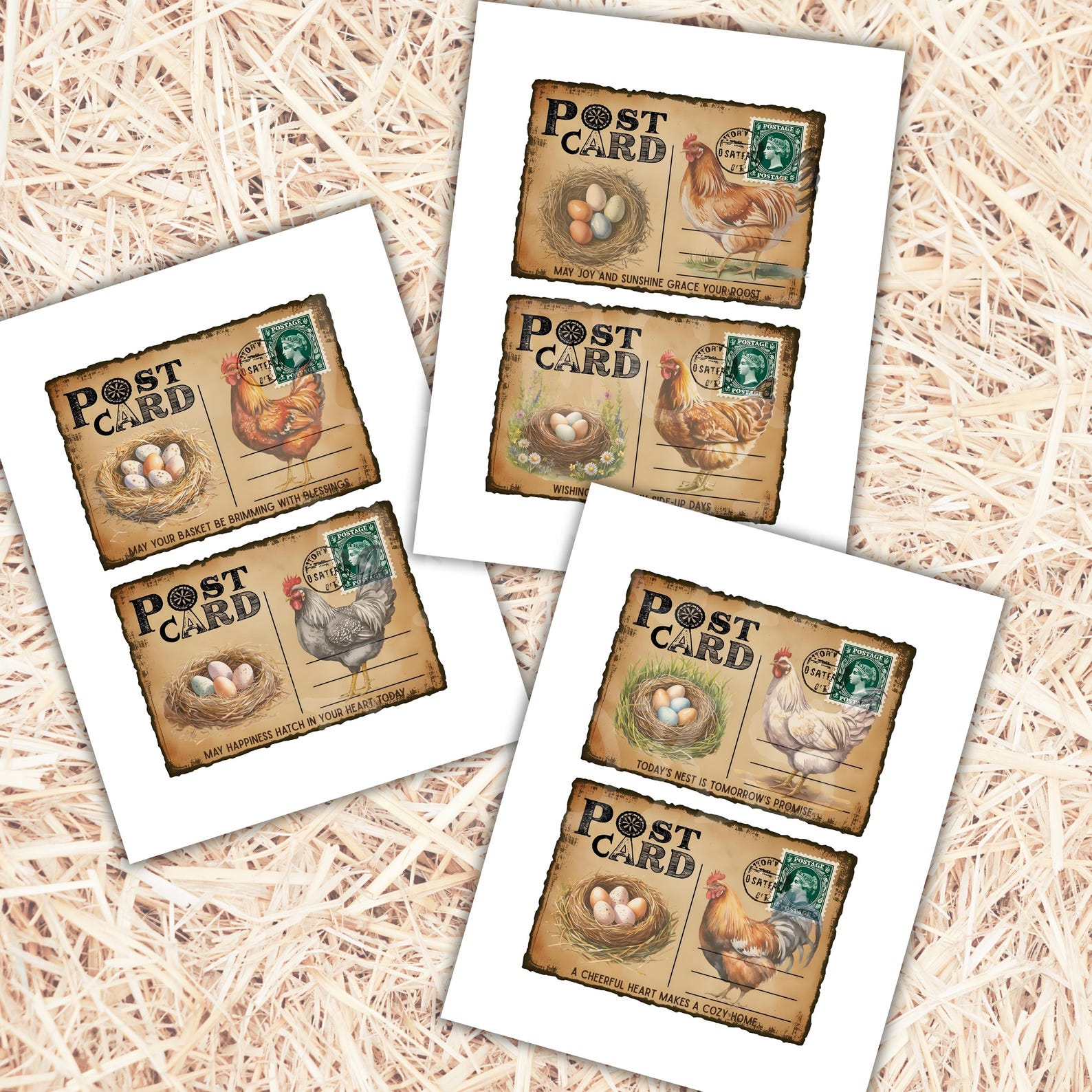 Country Chicken Printable Postcard Set Shabby Chic Farm Cards - Etsy