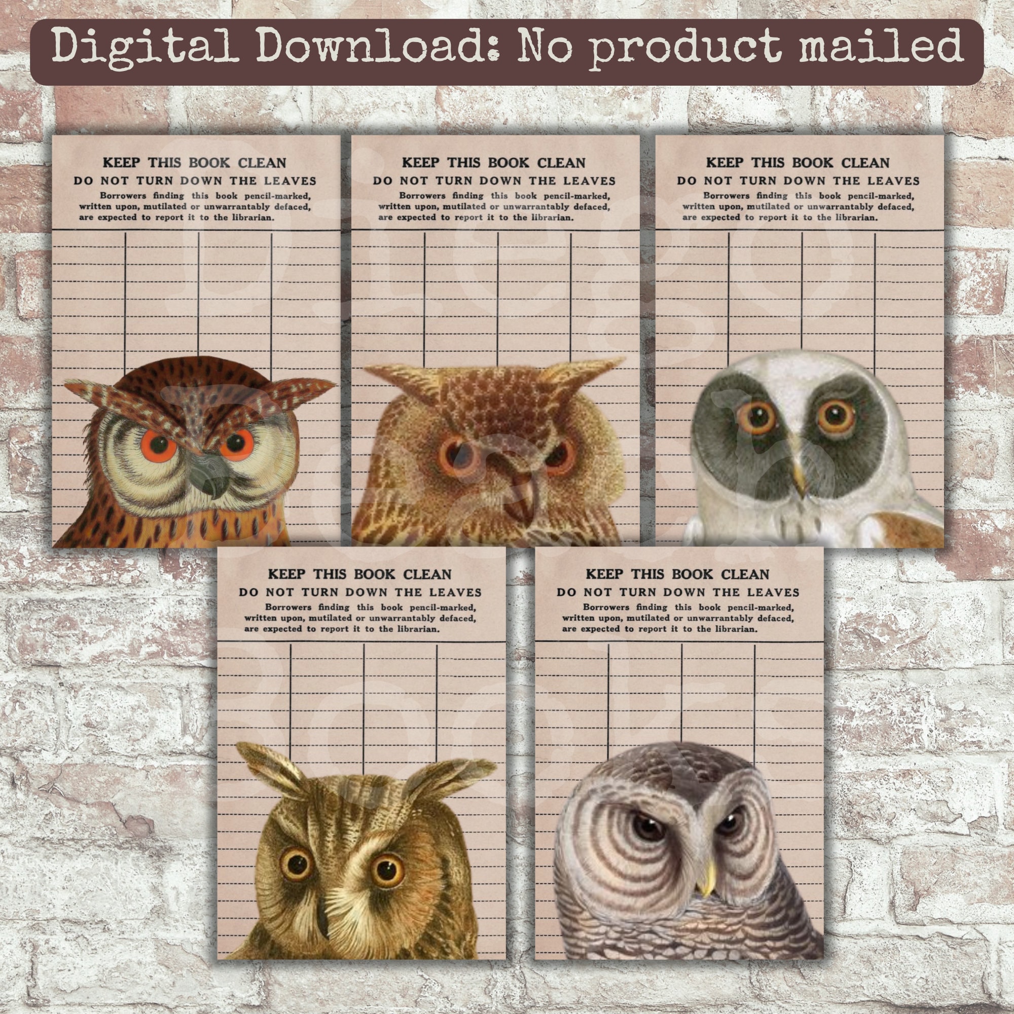 Vintage Owl Head Library Card Printable Owl Ephemera Owl Junk Journal ...