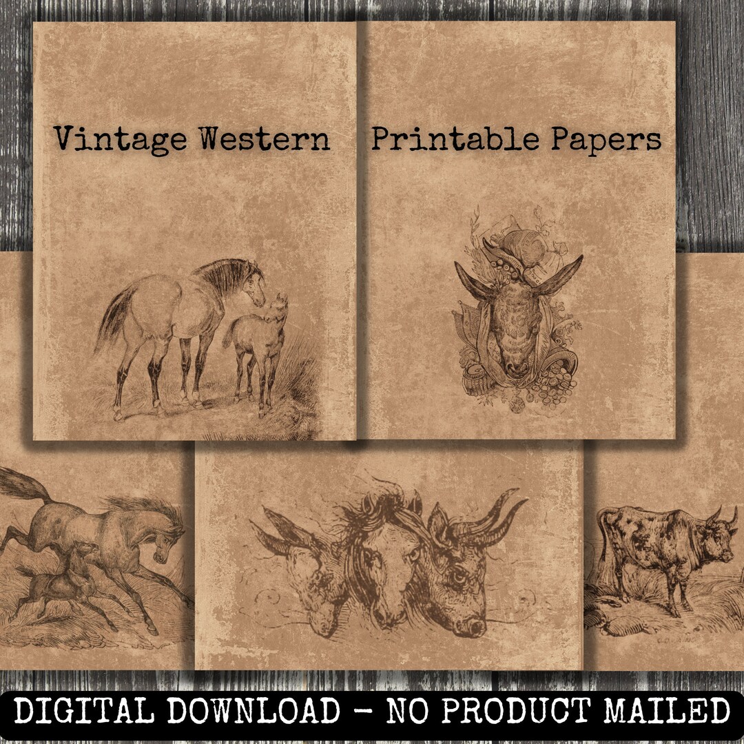 Vintage Western Printable Paper Set 3 Weathered Brown Vintage Horse ...