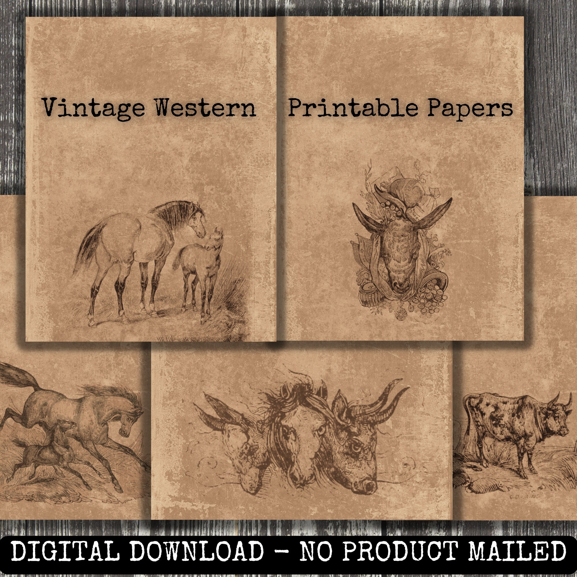 Vintage Western Printable Paper Set 3 Weathered Brown Vintage Horse ...