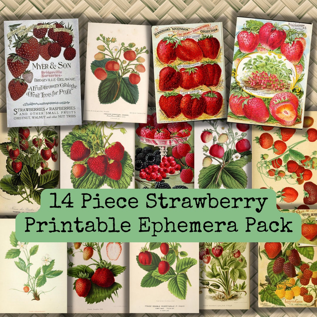 Vintage Strawberry 10 Piece Digital Download Ephemera Pack - Etsy