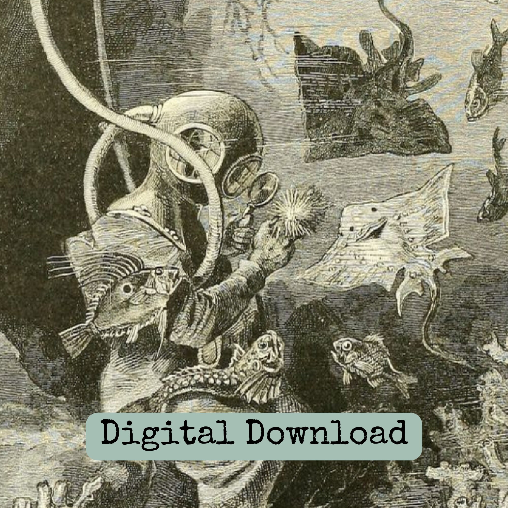 Under the Sea Vintage Etching Illustration Printable Art - Etsy