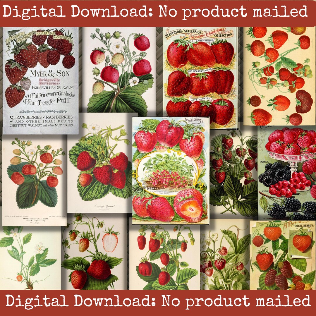 Vintage Strawberry Ephemera Garden Scrapbook Junk Journal Cards ...