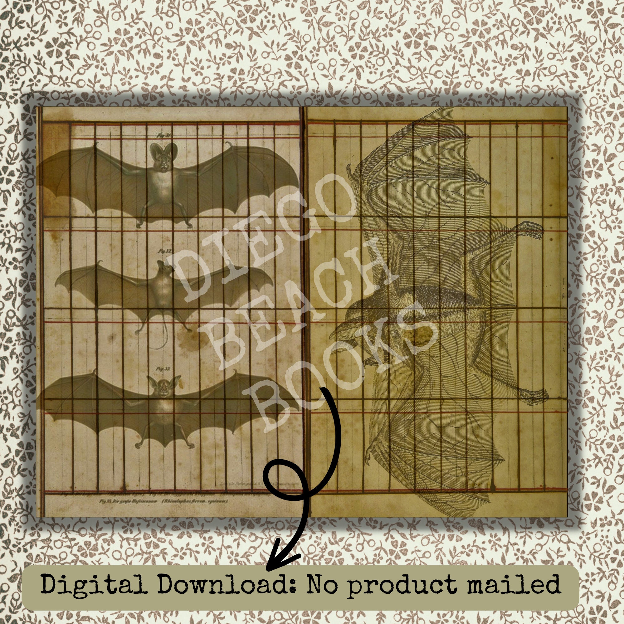 Five Piece Bat Printable Scrapbook Pages Ultra Grungy Vintage Junk ...