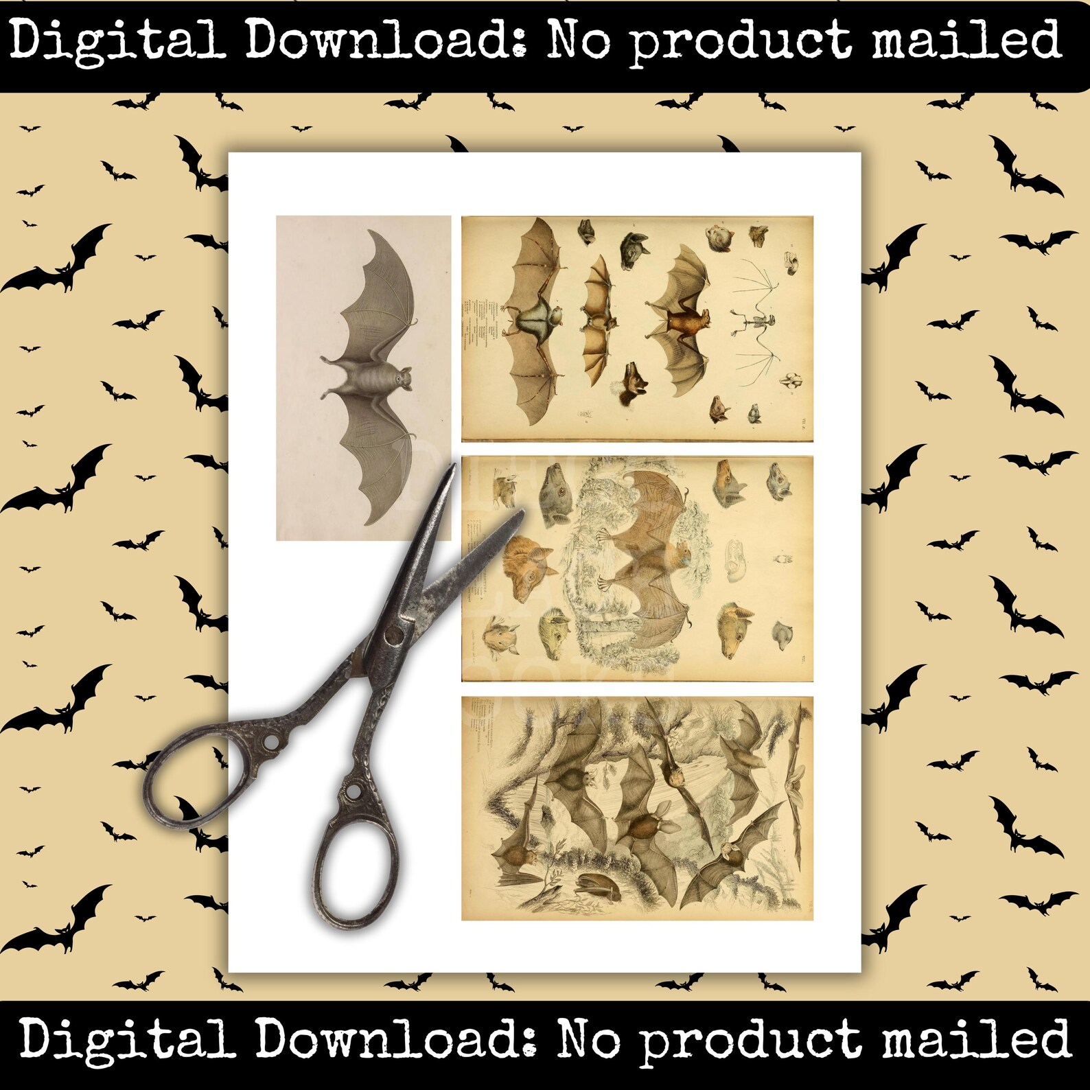 Vintage Bat Ephemera 20‑piece Digital Pack - Etsy