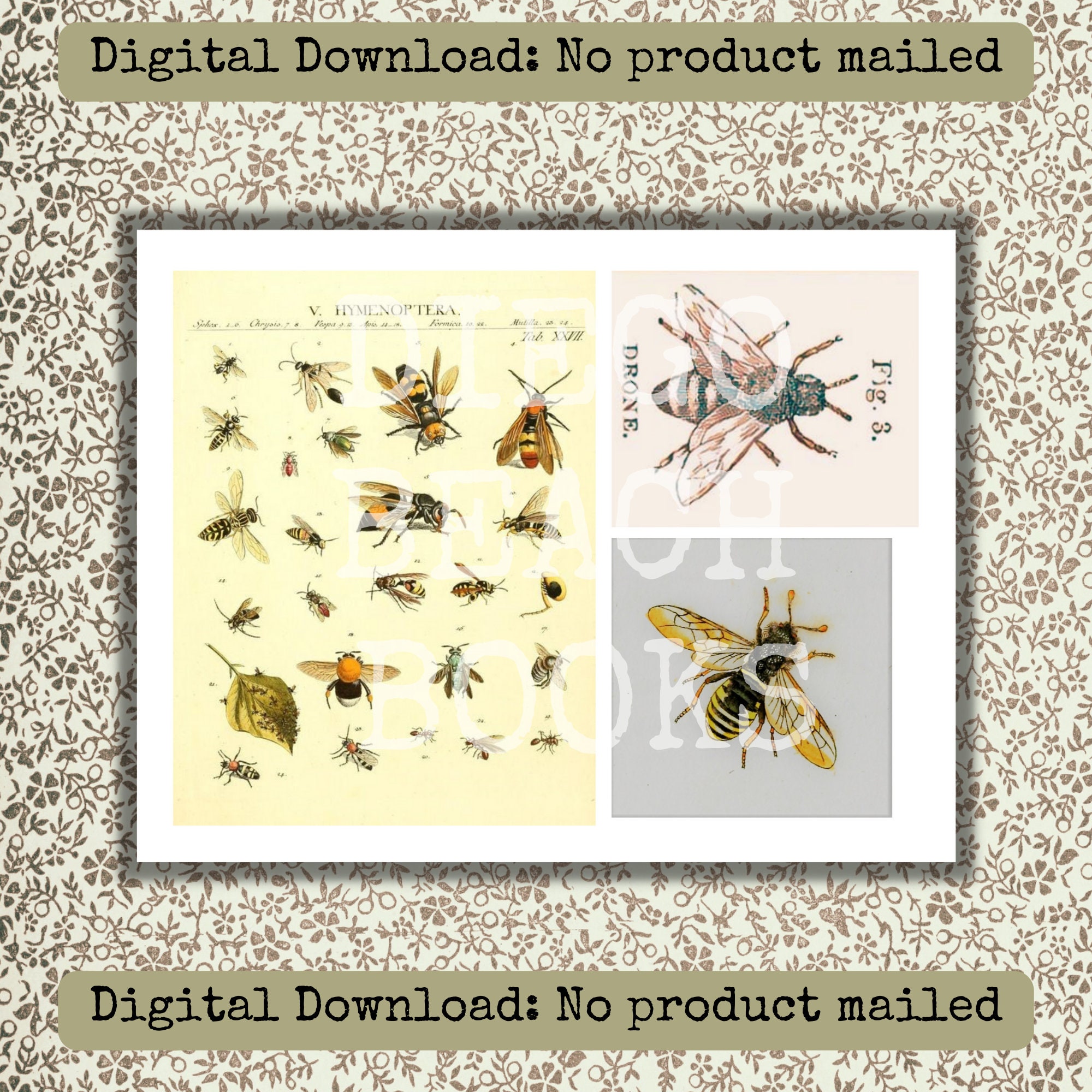 Vintage Bee Printable Ephemera Pack 15 Piece Set Printable Bee Images ...