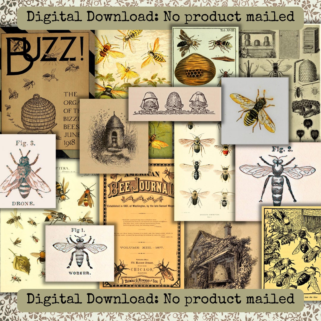 Vintage Bee Printable Ephemera Pack 15 Piece Set Printable Bee Images ...