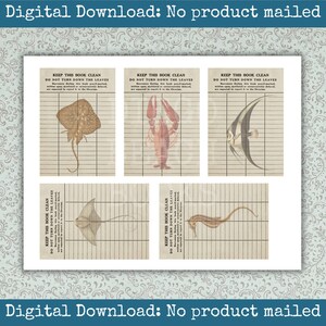 Vintage Sea Creatures Library Card Set Ocean Ephemera Nautical ...