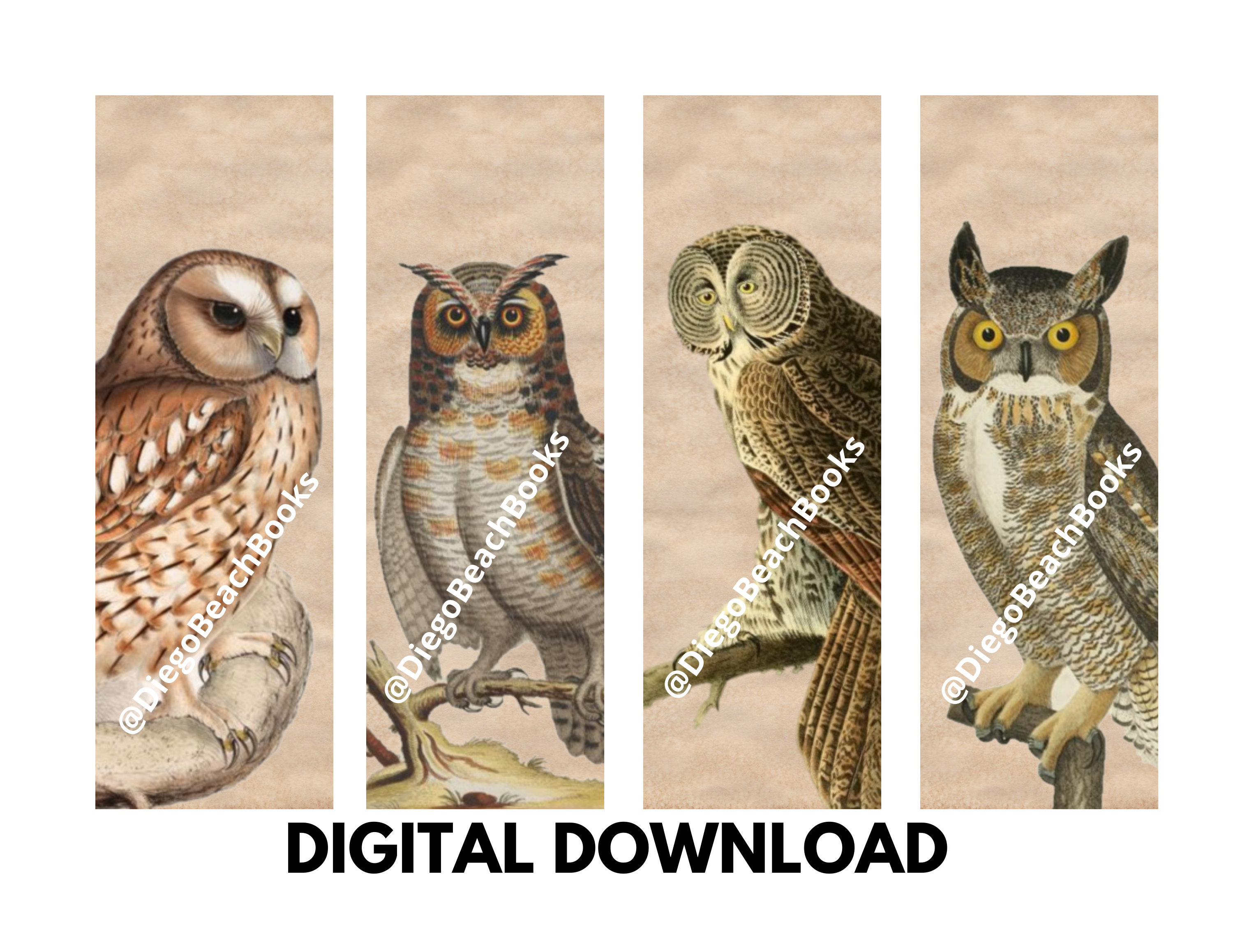 Printable Vintage Owls Bookmarks Set 1 Vintage Bookmarks, Junk Journal ...