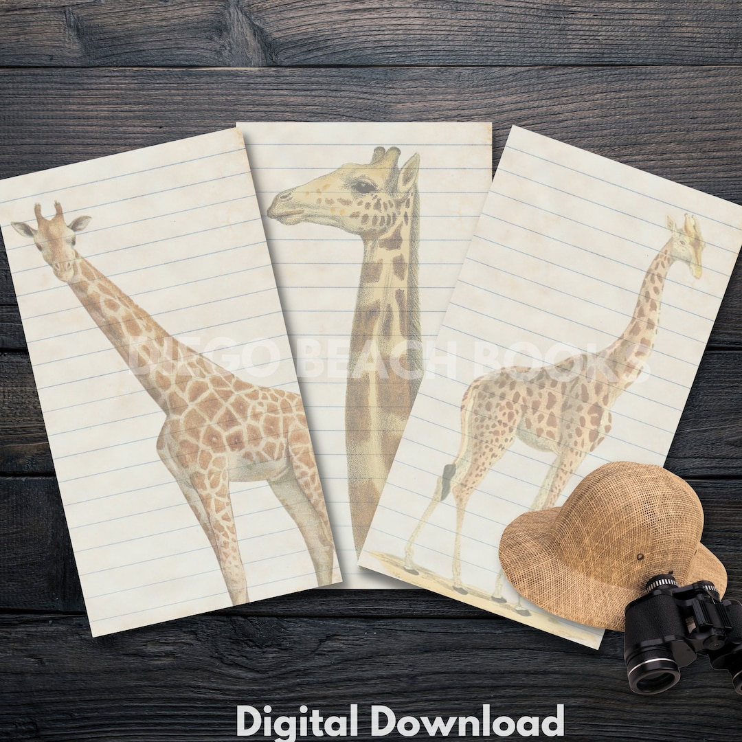 Giraffe Journaling Card Vintage Printable Set, Safari Ephemera, Giraffe ...