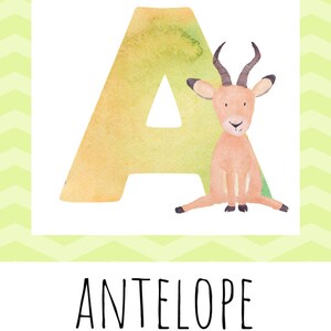 Animal Alphabet Poster - Chevron Classroom Alphabet - Animal Classroom ...