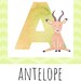 Animal Alphabet Poster - Chevron Classroom Alphabet - Animal Classroom ...