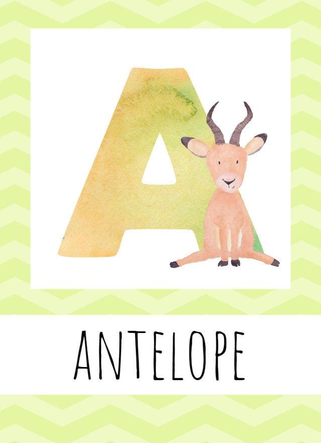 Animal Alphabet Poster - Chevron Classroom Alphabet - Animal Classroom ...