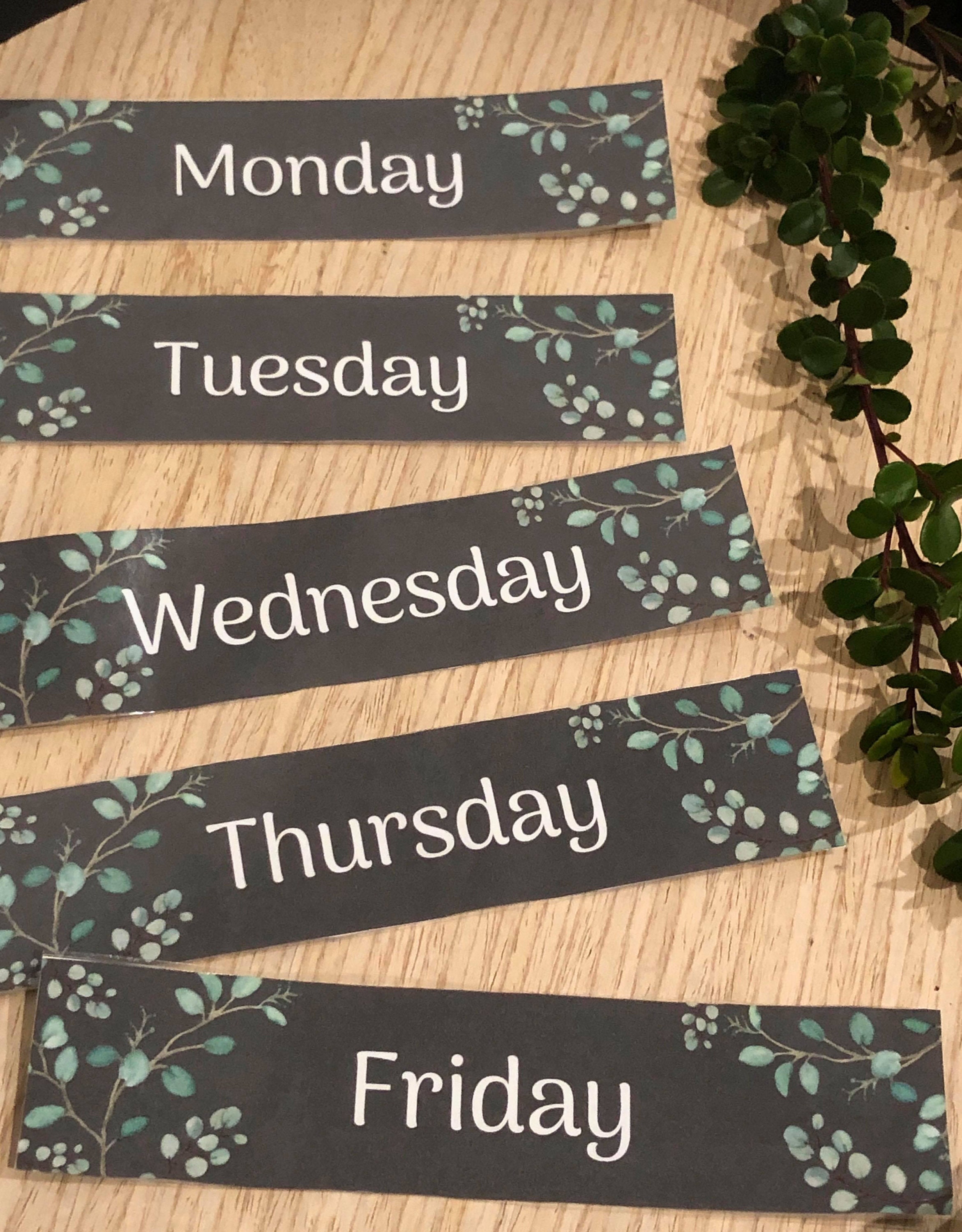 Australian Theme, Australian Classroom,classroom Decor, Eucalyptus ...