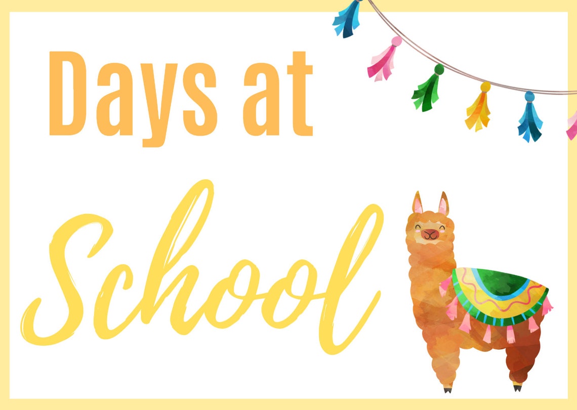 Llama Themed Classroom Llama Classroom Rainbow Classroom Decor, Name ...