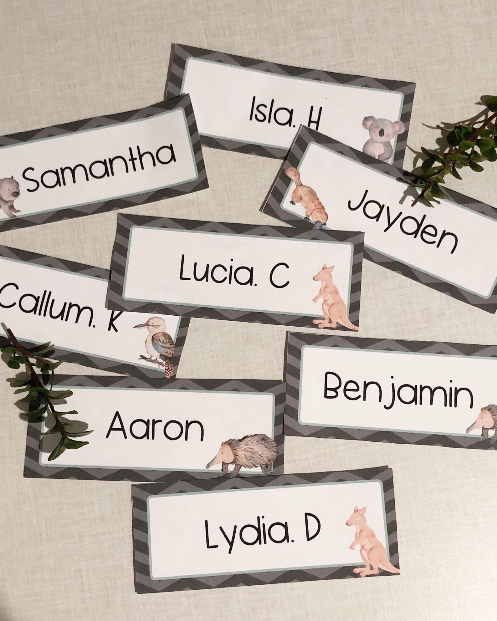 Australian Theme Australian Classroomclassroom Decor | Etsy