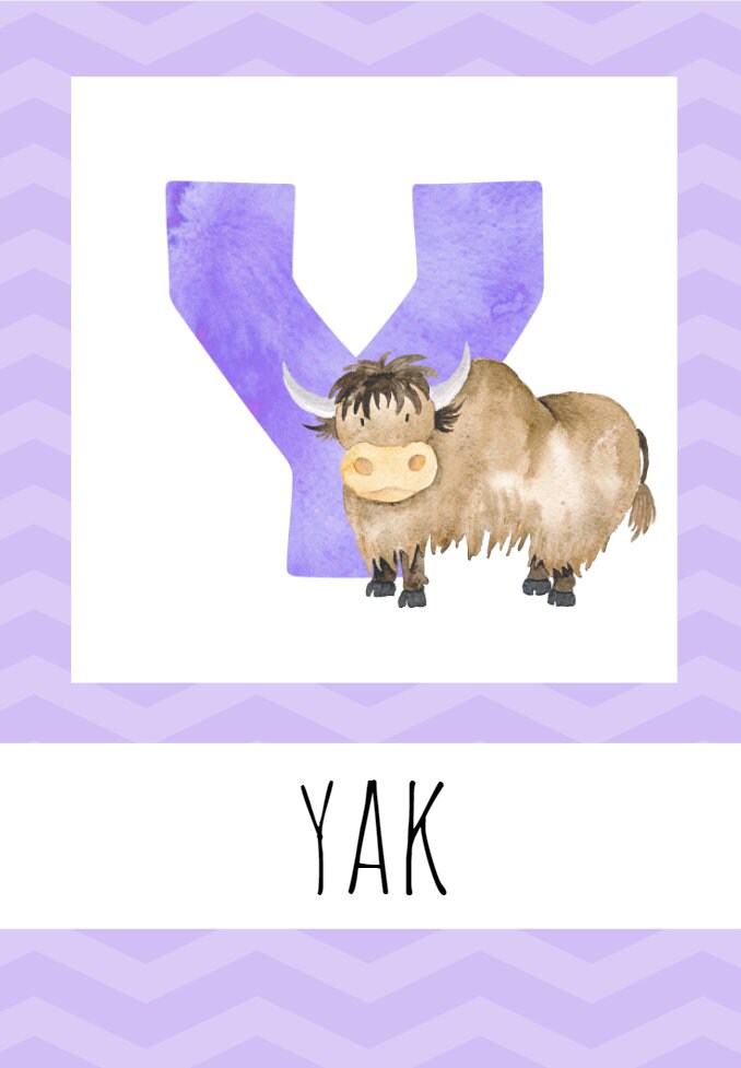 Animal Themed Classroom, Animal Classroom, Classroom Decor, Alphabet ...