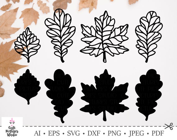 Fall Leaves Cut File Svg Oak Leaf Svg Maple Leaf Svg Fall Etsy