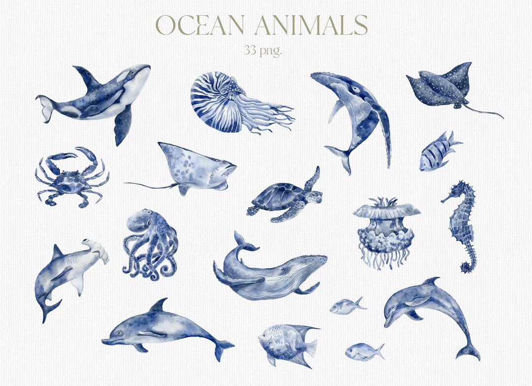 Ocean Animals, Sea Life, Clipart, Whale, Fish, Jellyfish, Turtle, Shark ...