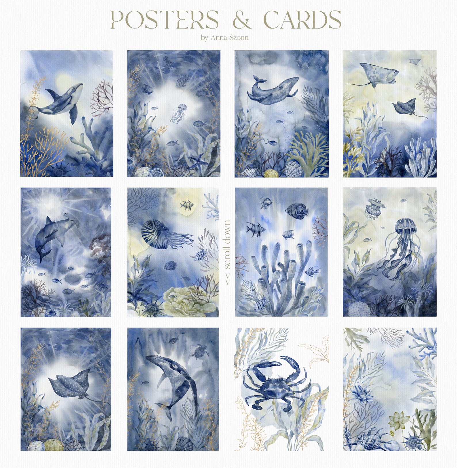 Sealife Clipart Underwater Marine Nautical Frame Sea - Etsy