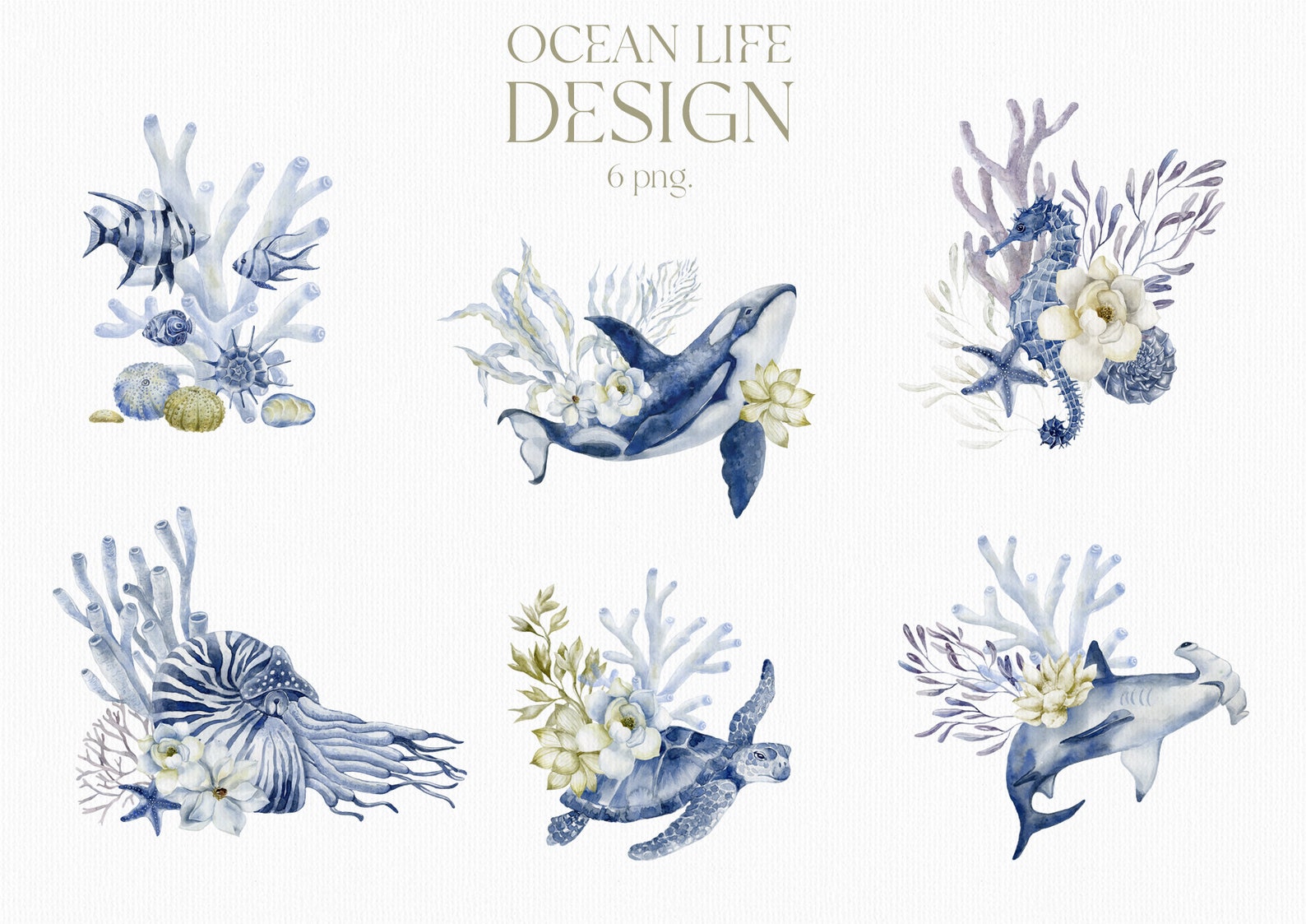 Ocean Animals Sea Life Clipart Whale Sea Horse Fish - Etsy