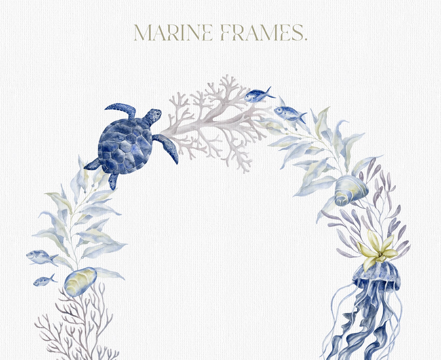 Ocean Animals Frames Sea Life Clipart Whale Sea Horse - Etsy