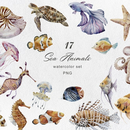 Watercolor Underwater Animals Clipart Nautical PNG. Instant - Etsy