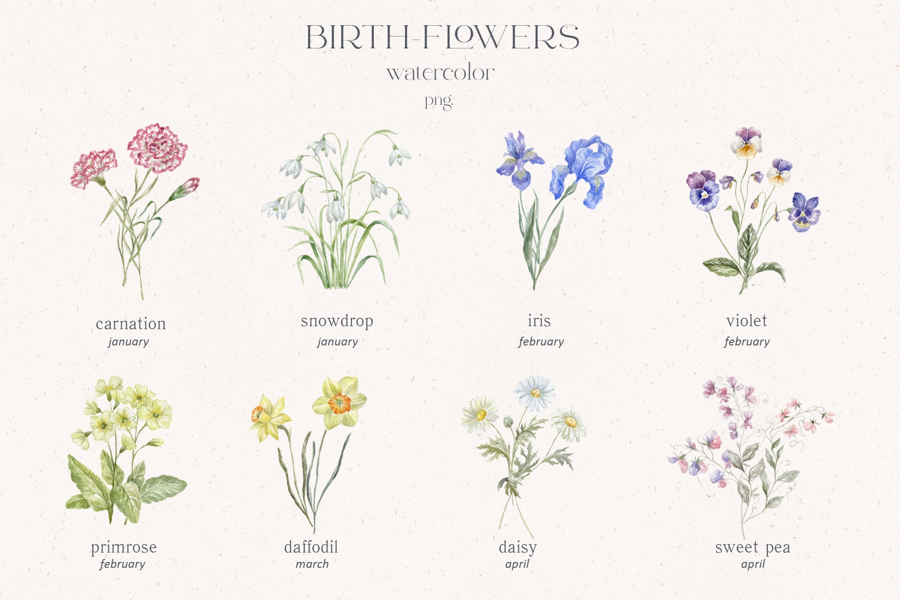 Birth Flowers Clipart, Watercolor Flowers, Carnation, Rose, Poppy, Lily ...