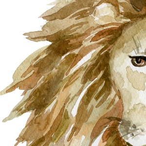 Watercolor Lion, Lioness, Lion Cub, Clipart, Animals, Babies, Family ...