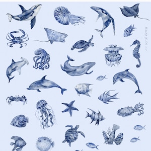 Ocean Animals, Sea Life, Clipart, Whale, Fish, Jellyfish, Turtle, Shark ...