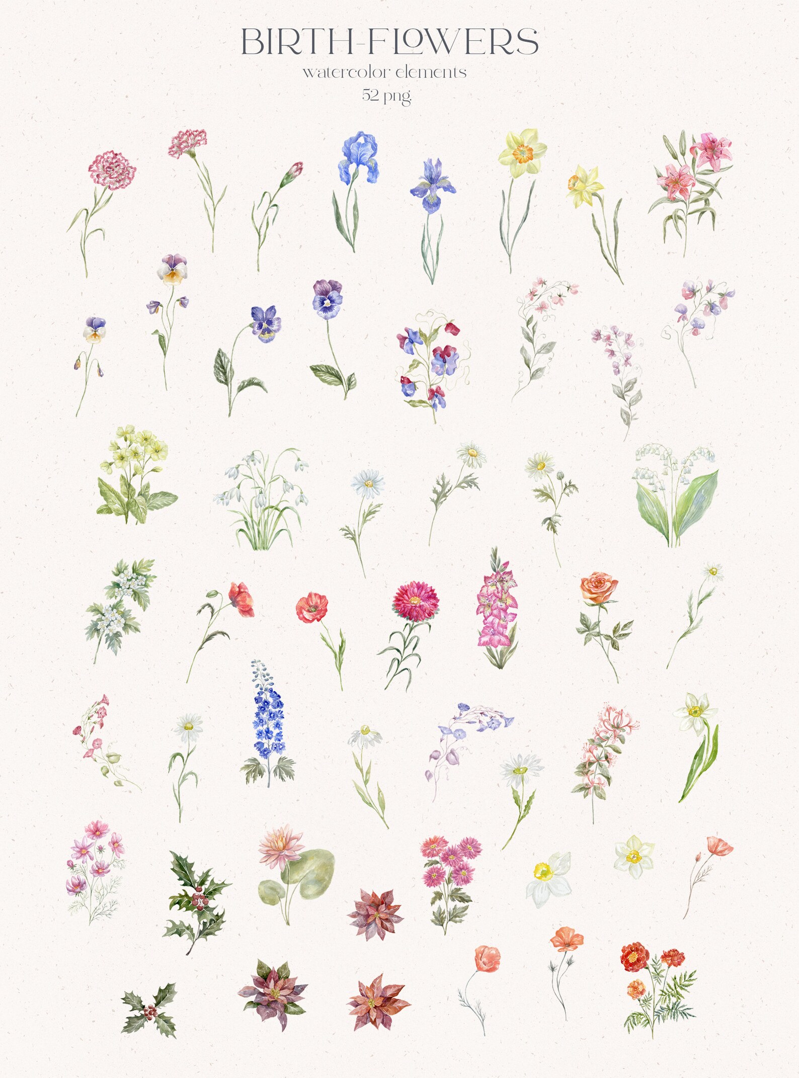 Birth Flowers Clipart, Watercolor Flowers, Carnation, Rose, Poppy, Lily ...