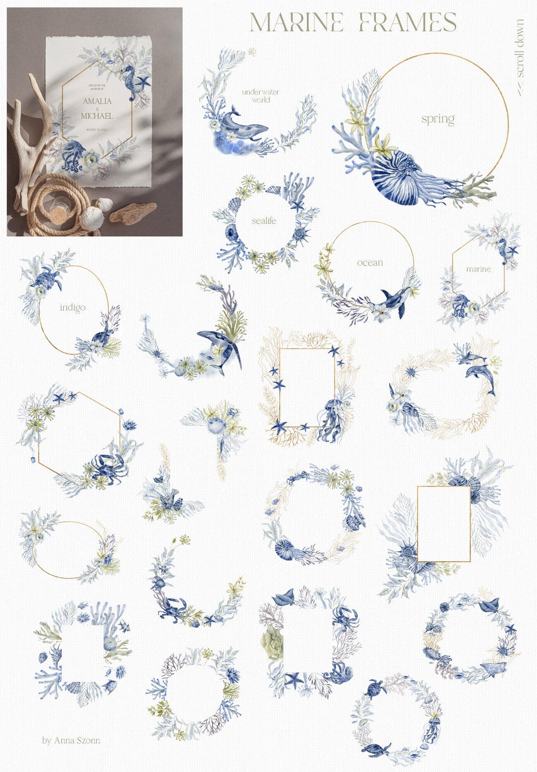 Ocean Animals Frames Sea Life Clipart Whale Sea Horse - Etsy