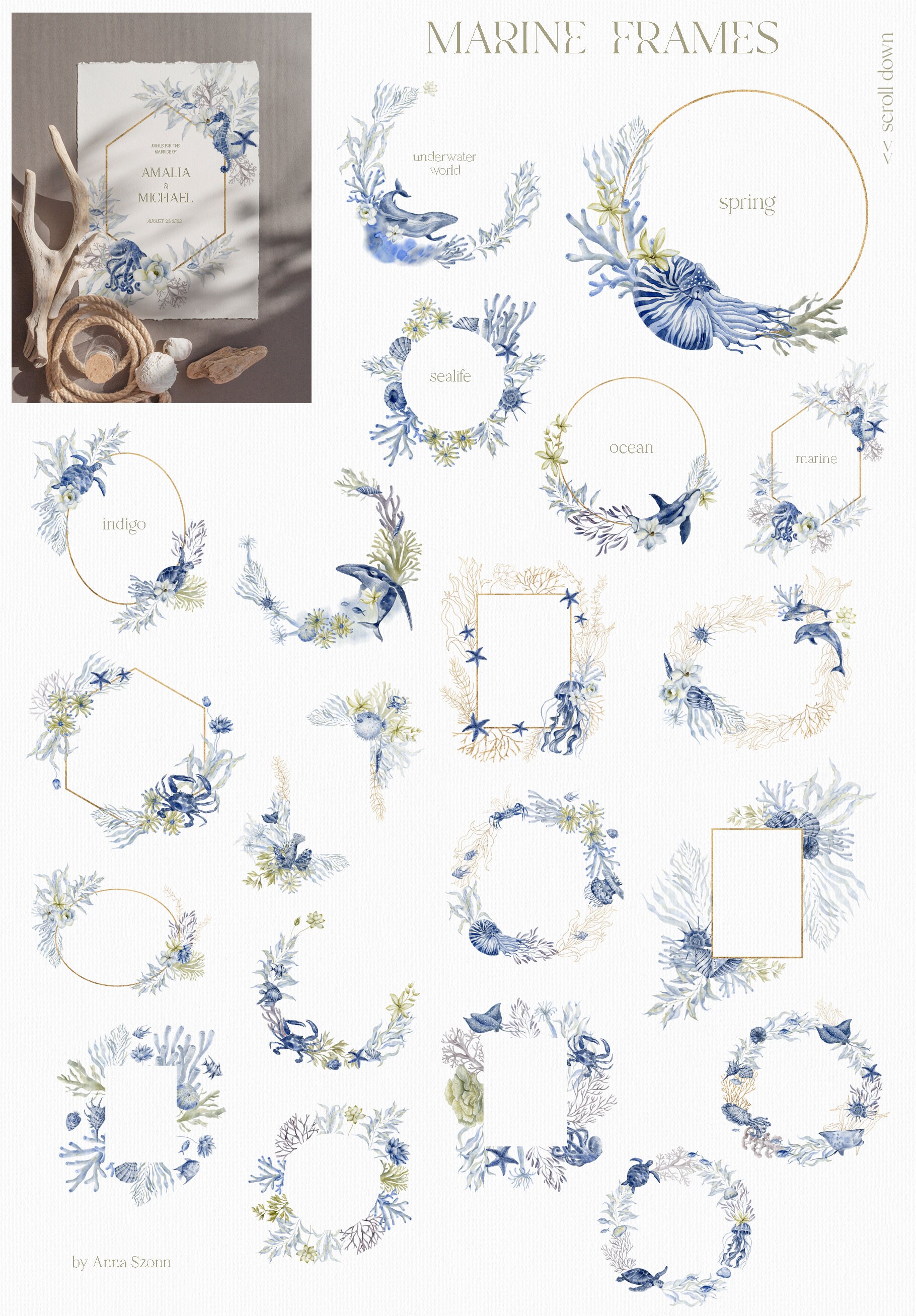 Ocean Animals Frames Sea Life Clipart Whale Sea Horse - Etsy