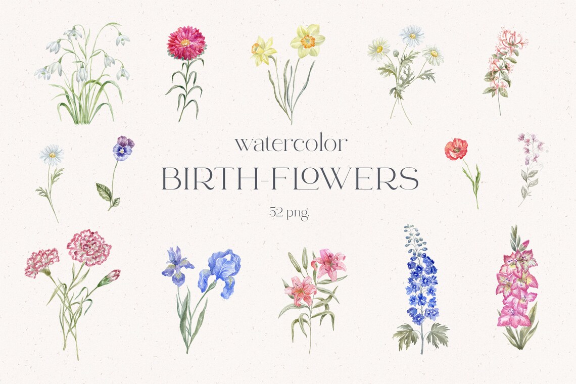 Birth Flowers Clipart, Watercolor Flowers, Carnation, Rose, Poppy, Lily ...